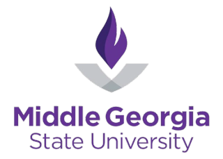 Middle Georgia STEM Alliance